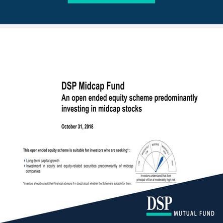 DSP Multicap Fund Presentation Jan24.pdf