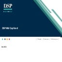 DSP Mid Cap Fund | PDF