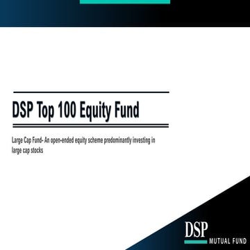DSP Top 100 Equity Fund - Presentation July 2024 | PDF