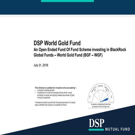 DSP Global Allocation Fund Presentation.pdf