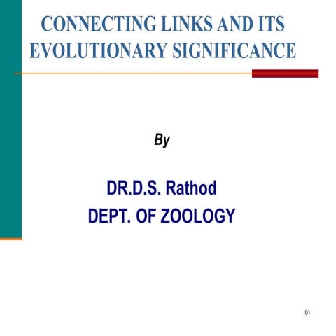 DSR-Connecting_link_DrDsRathodZoology.ppt