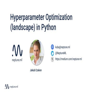 Dss2019 hyperparameter optimization landscape | PDF