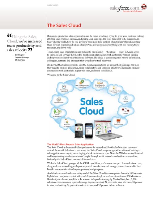 Salesforce Sales Cloud Presentation by Fexle Services | PPTX | Cloud Computing | Internet