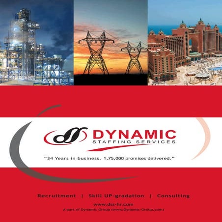 Dss Brochure Ver 2 9 | PDF