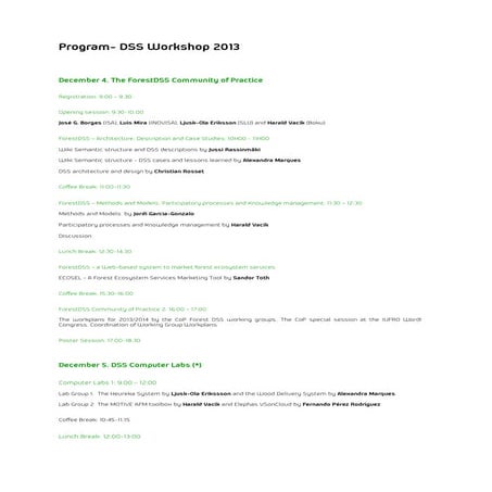 Dss workshop program nov 28 | PDF