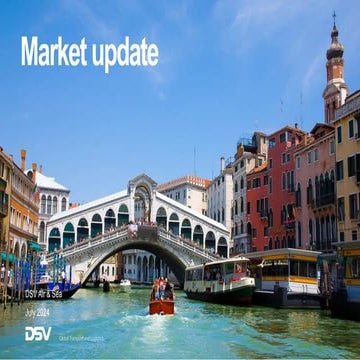 DSV Market update AS July 16th 2024 updated | PDF