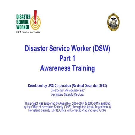 Dsw training presentation booklet slides.dec12 | PDF