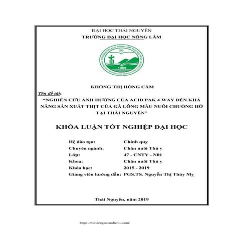 Nghiên cứu ảnh hưởng của Acid pak 4 way đến khả năng sản xuất thịt của ...