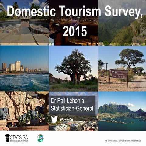 Domestic tourism survey (DTS), 2015 | PDF
