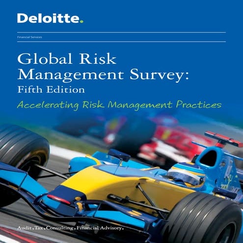Dtt Fsi Global Risk Management Survey Fifth Edition | PDF