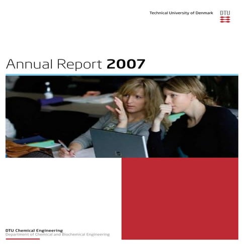 dtu_kt_annual_report_2007.pdf