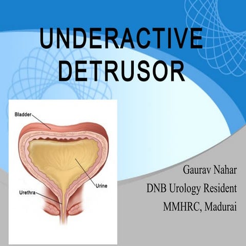 UNDERACTIVE DETRUSOR | PPT