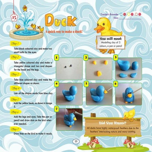 Duck | PPT