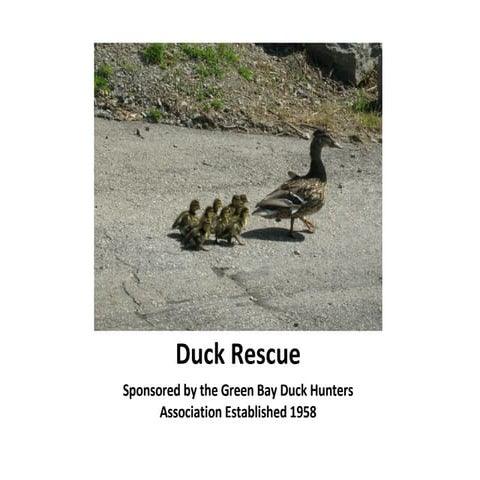 About duckrescue.com