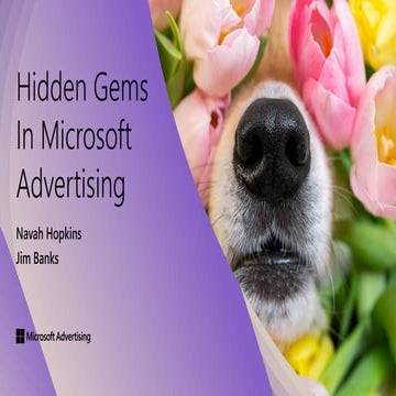 Hidden gems in Microsoft ads with Navah Hopkins | PDF