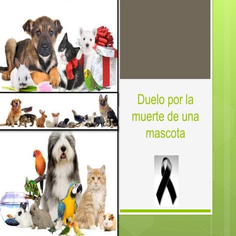 Duelo por la muerte de una mascota | PPTX