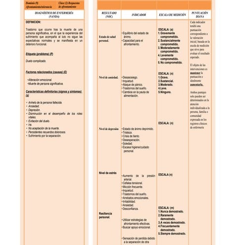Plan De Cuidados De Enfermería Duelo Complicado Docx