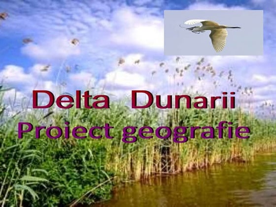 Proiect delta dunarii | PPT
