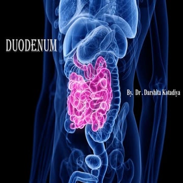 Anatomy of duodenum, duodenum structure, PPT of duodenum, power point ...