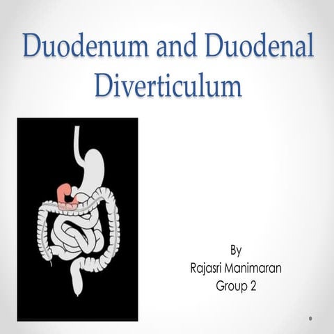 Duodenum and duodenal diverticulum | PPTX