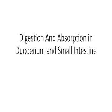 Digestion and Absorption in Duodenum and Small Intestine | PPT