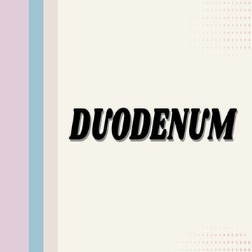 Anatomy of Duodenum- detailed ppt presentation for science students | PDF