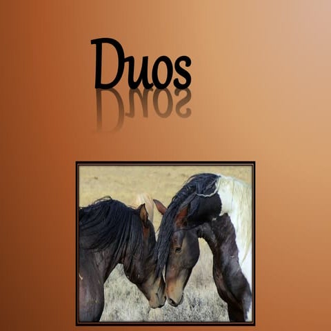 Duos | PPT