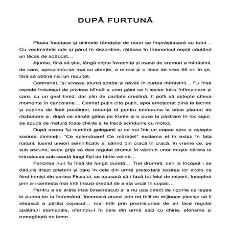 Dupa furtuna | DOC