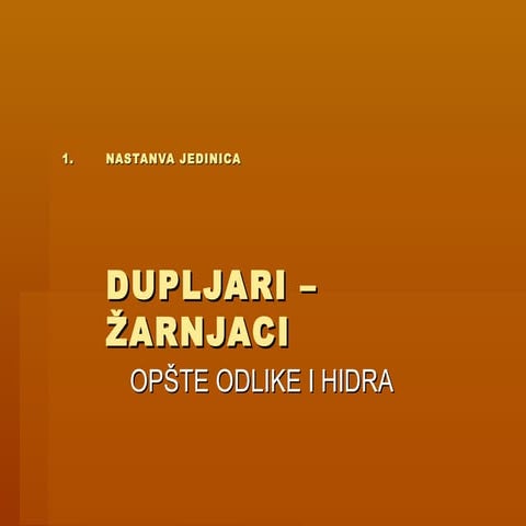 Bodljokošci | PPT