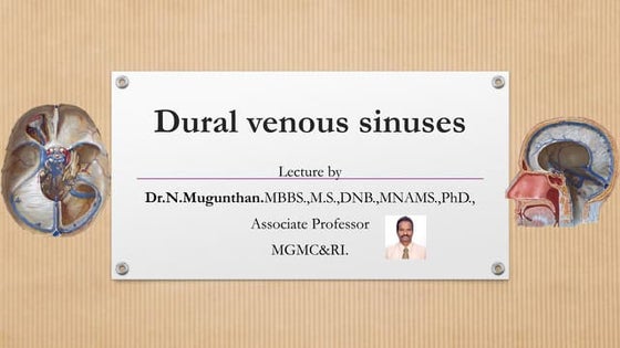 Posterior triangle of neck - Powerpoint lecture notes by Dr.N.Mugunthan ...