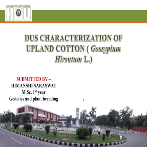 DUS Test Guidelines for Maize | PPTX