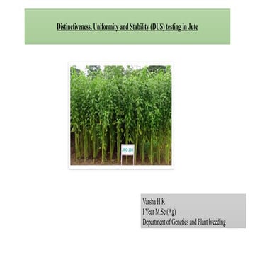 DUS characterization of Jute crop as per PPV&FR.pptx