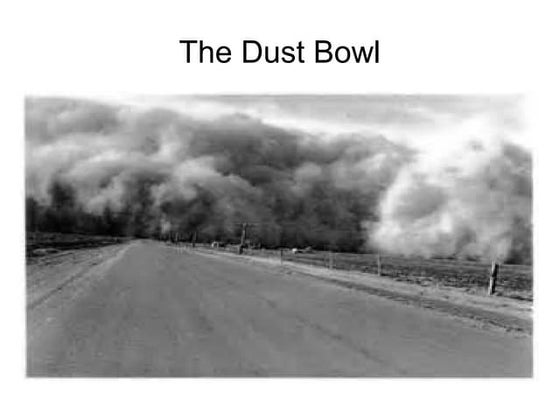 The dust bowl | PPTX