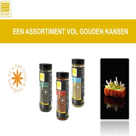 Dutchspicesnijkerk presentations
