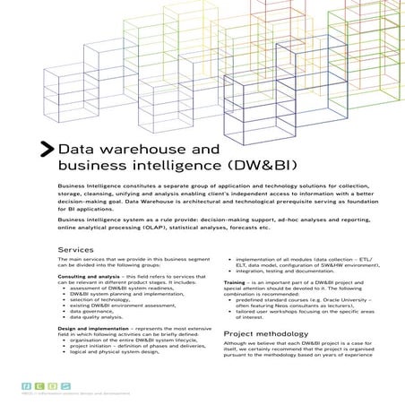 DW&BI | PDF