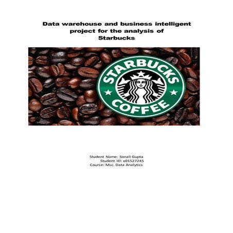 Dwbi Project | PDF | Databases | Computer Software and Applications