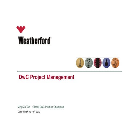 DwC Project Management the best practice | PPT