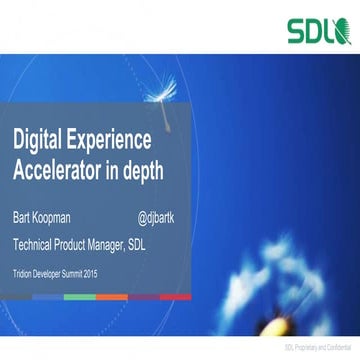 Digital Experience Accelerator in depth | PPT