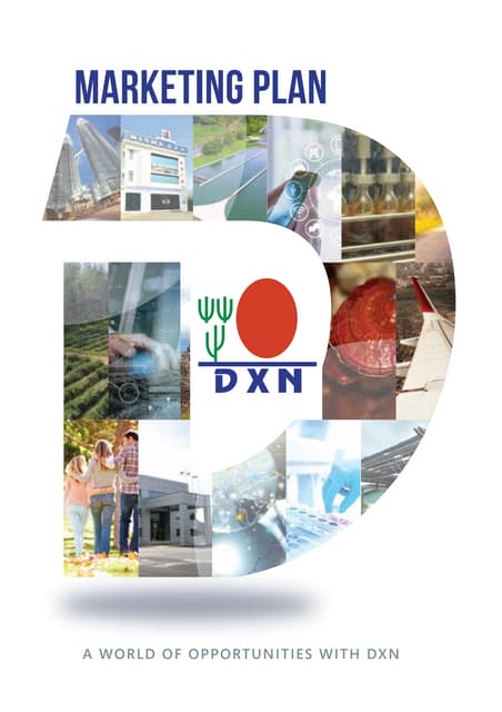 DXN Business Plan | PDF