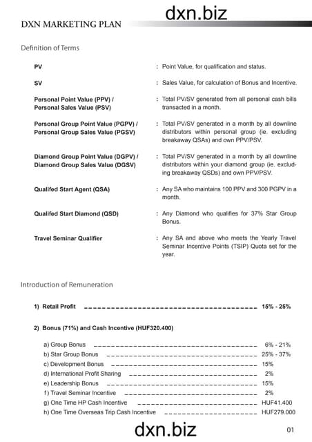 DXN Business Plan | PDF
