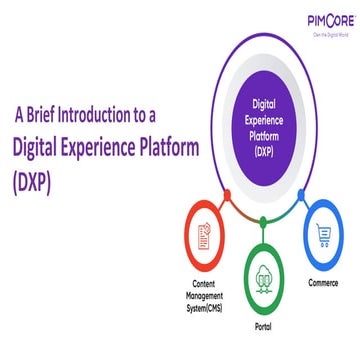 A Brief Introduction to a Digital Experience Platform (DXP) | PDF