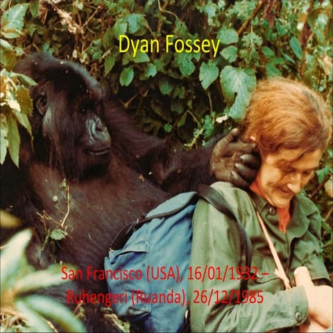 Dian fossey | ODP