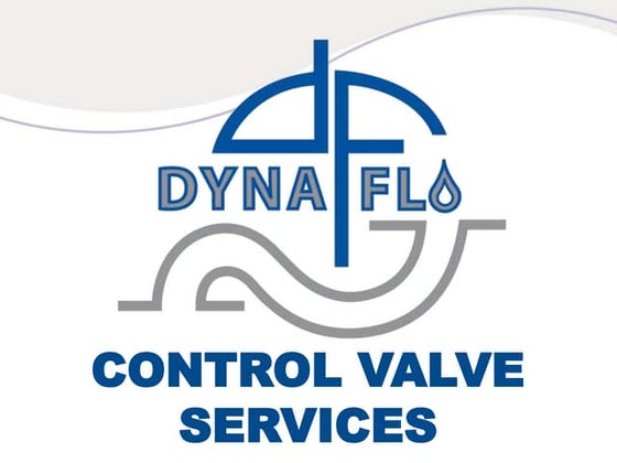 Bureau Veritas Boiler Inspections | PPT