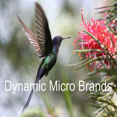 Dynamic Micro Brands | PPT