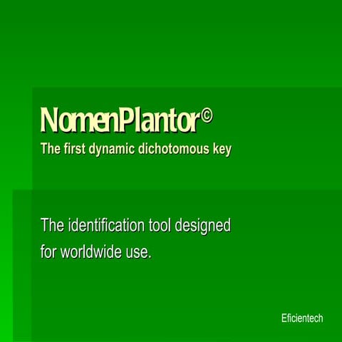 How to make a dichotomous key | PPTX