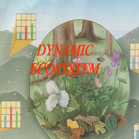 Dynamic Ecosystem | PPTX