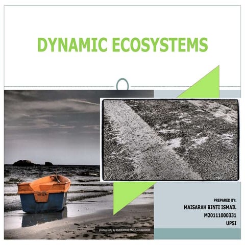 Dynamic ecosystem | PPT