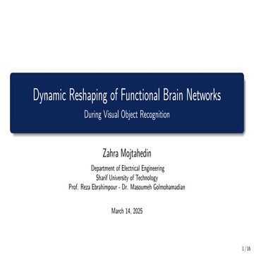 Dynamic Reshaping Of Functional Brain Networks During Visual Object Recognition Ppt