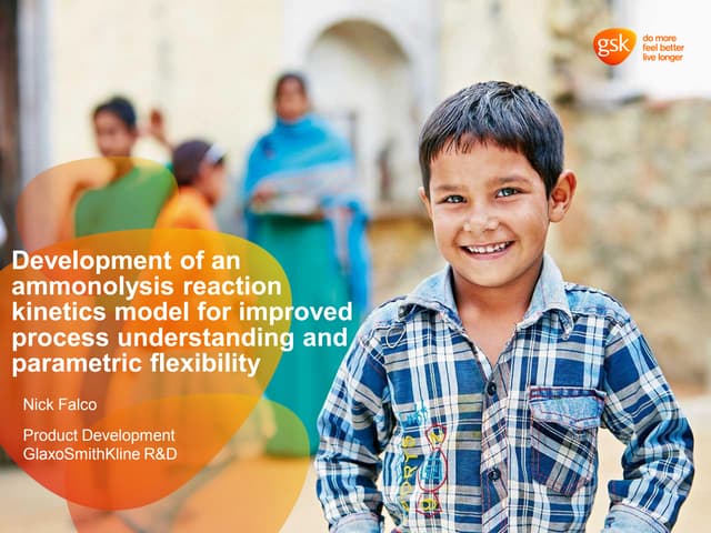 Use of DynoChem in Process Development. Wilfried Hoffmann. | PDF