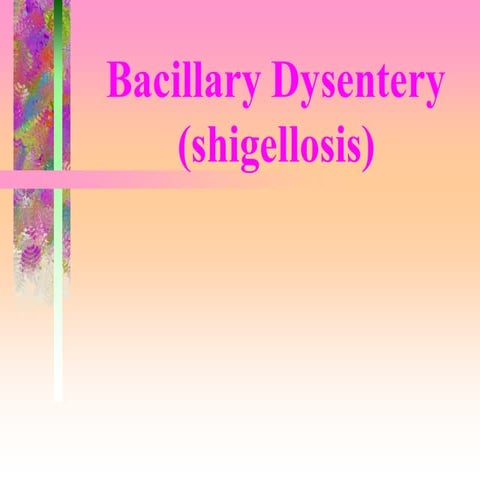 Dysentery | PPT